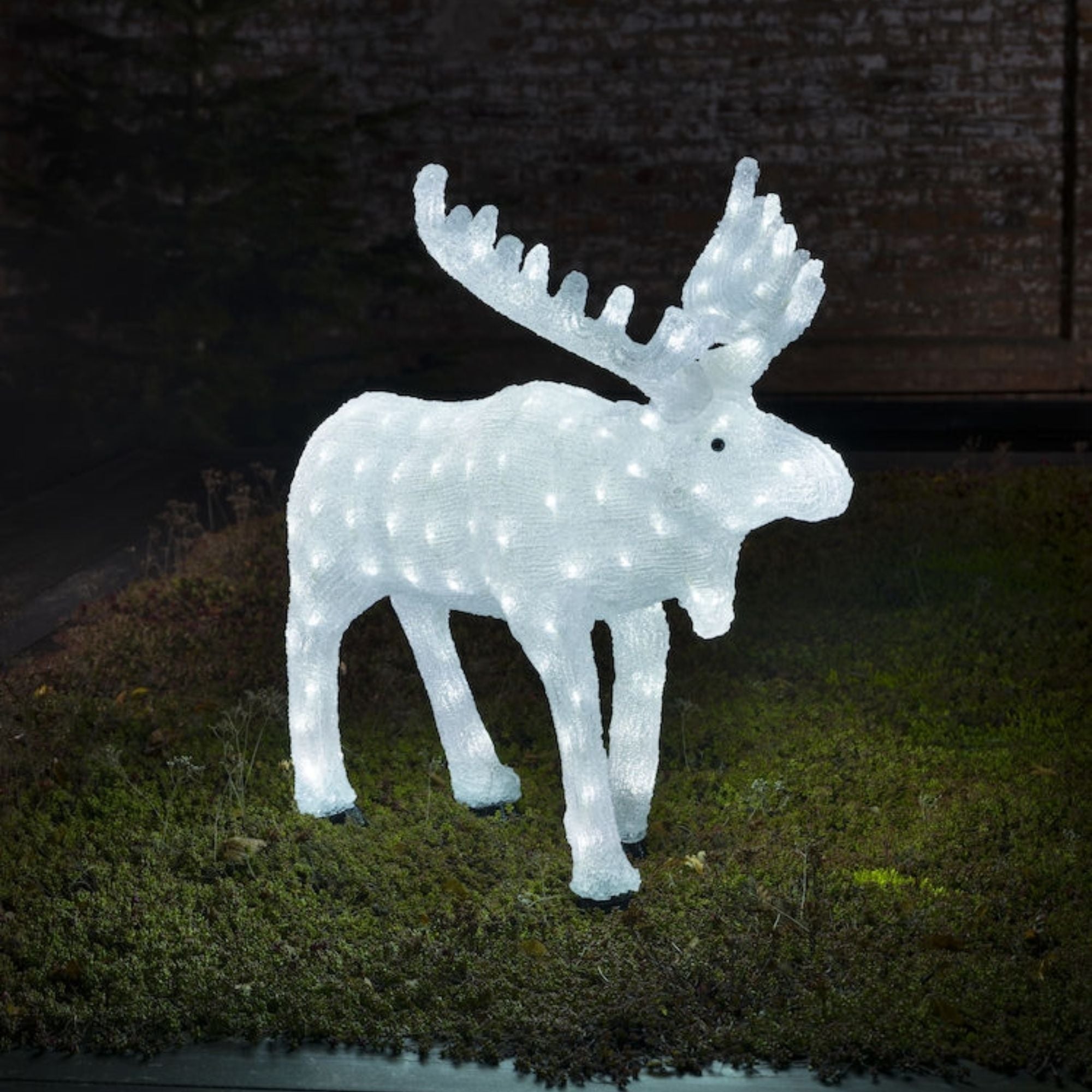 Acrylic Moose LED Lit Christmas Display