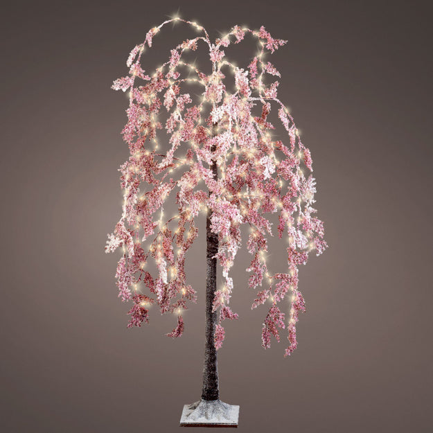 Pink Willow Trees